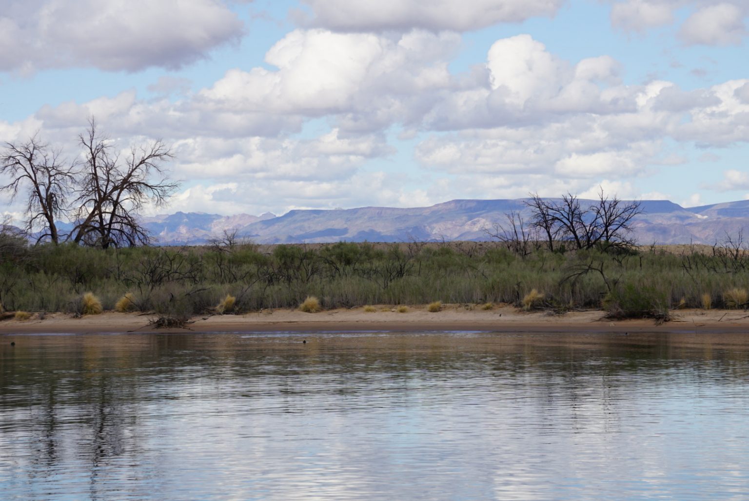 Corporate Water Stewardship in the Colorado River Basin - Pacific Institute
