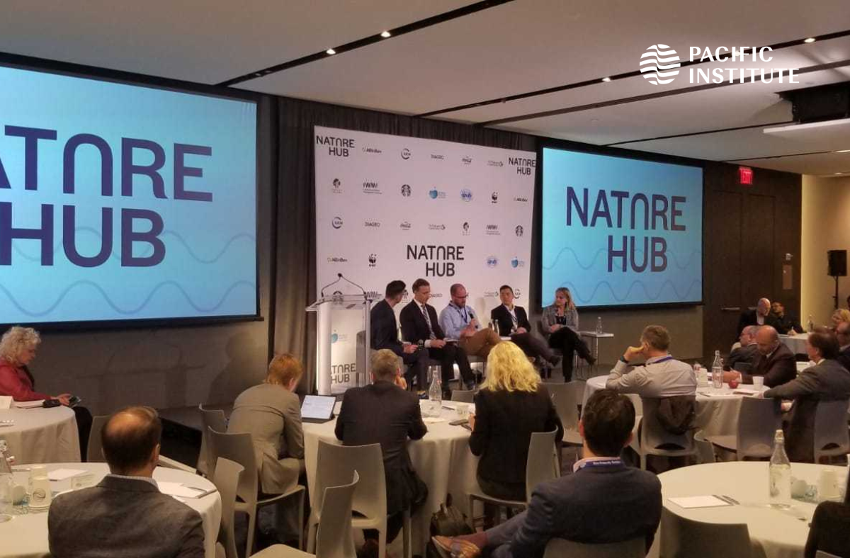 Historic UN Water Conference Concludes With New Cross-Sector Global ...